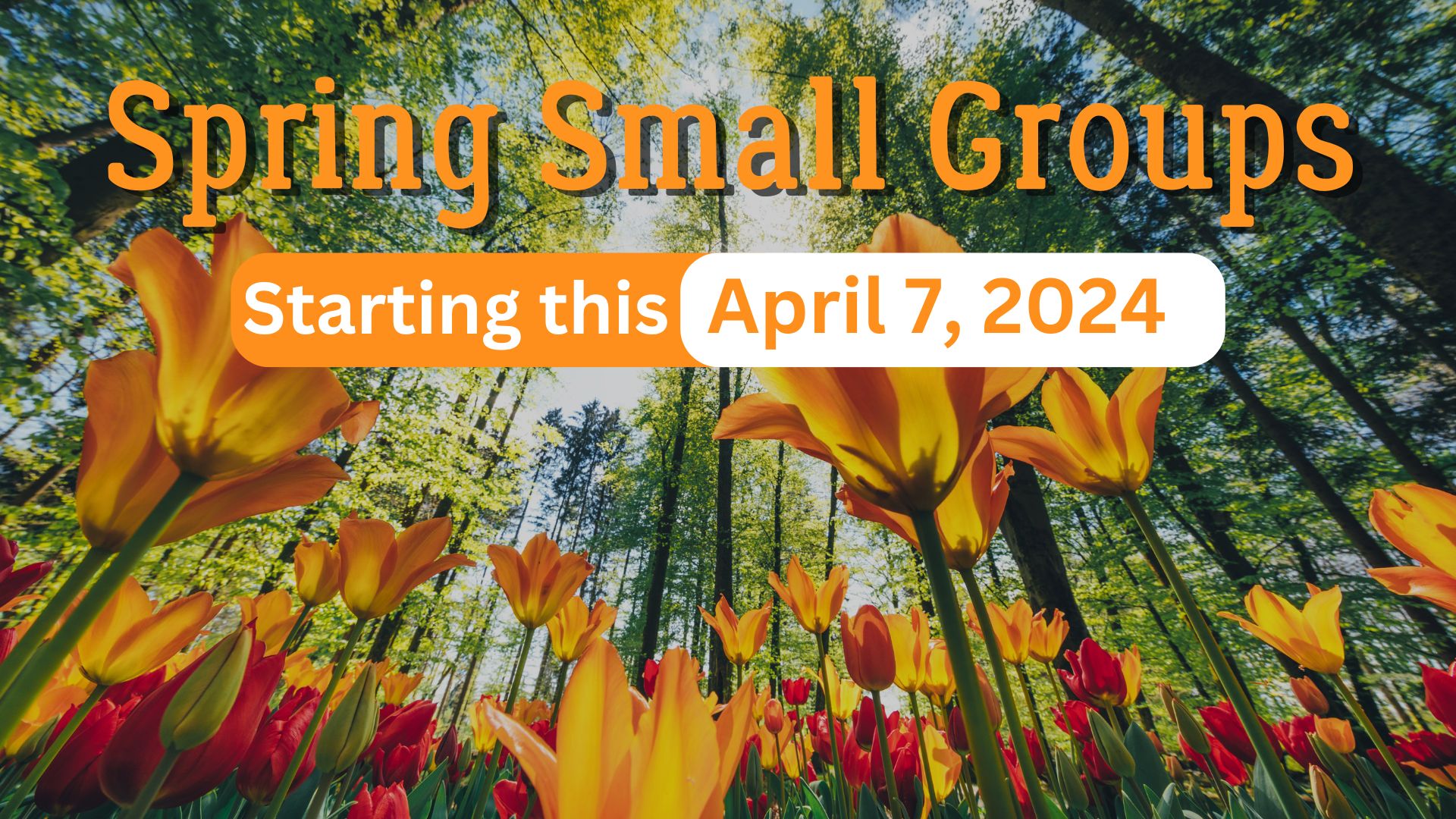 Join Spring Small Groups 2024 - Unity Church of Overland Park